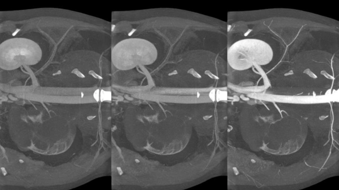 Fidex Veterinary CT Scanner | Biomed Core Facilities I Brown University