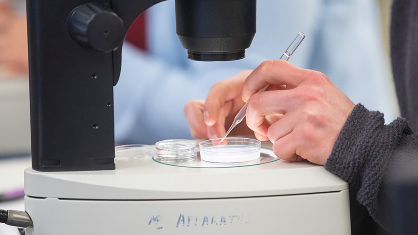 About BioMed Core Facilities | Biomed Core Facilities I Brown University About BioMed Core Facilities | Biomed Core Facilities I Brown University