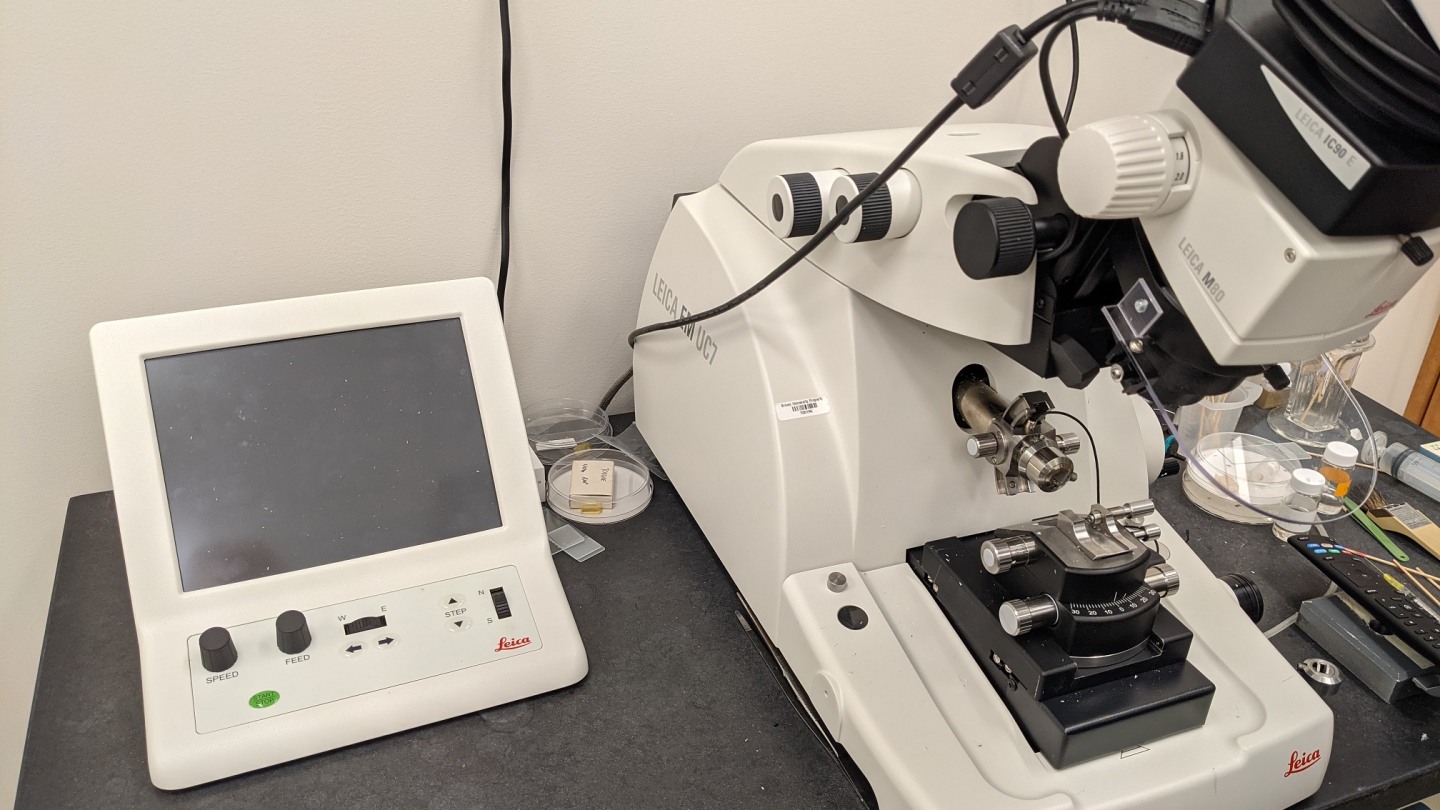 Microtomes, Critical Point Dryer and Sputter Coater | Biomed Core ...